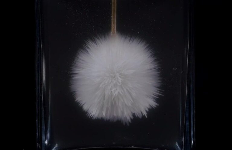 Hot Ice Experiment – Shoily Science